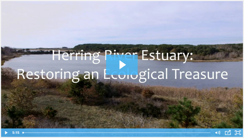 Herring River History | Friends of Herring River