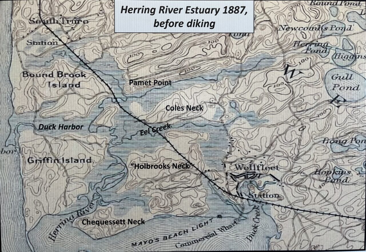 Restoration Area Maps | Friends of Herring River